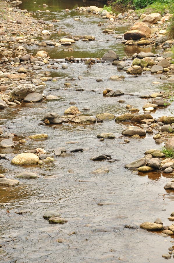 River stock photo. Image of forest, fresh, bright, highlands - 68902532