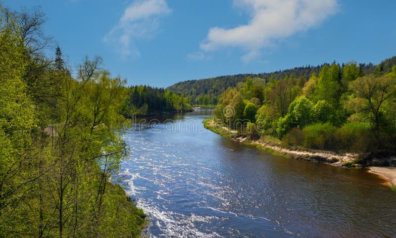 A River with a Clear Blue Water and Trees on Both Sides Stock Photo ...