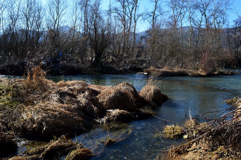 River and coast stock image. Image of coast, grass, water - 174691847