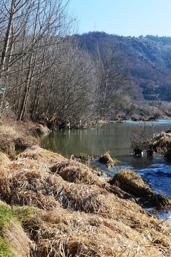 River and coast stock image. Image of river, coast, spring - 174692049