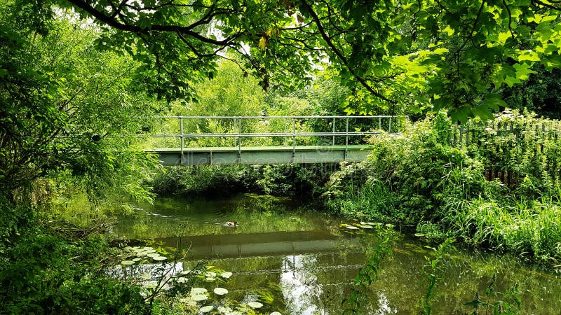 River Colne, Staines on Thames . Stock Photo - Image of river, heathrow ...