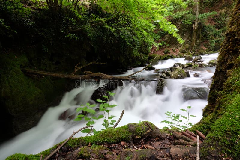 A River Running through a Remote Forest in North of Iran. Stock Image ...