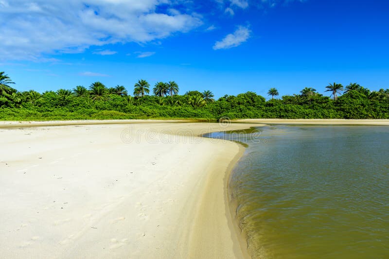 River Coming Out of the Middle of the Native Vegetation Stock Photo ...