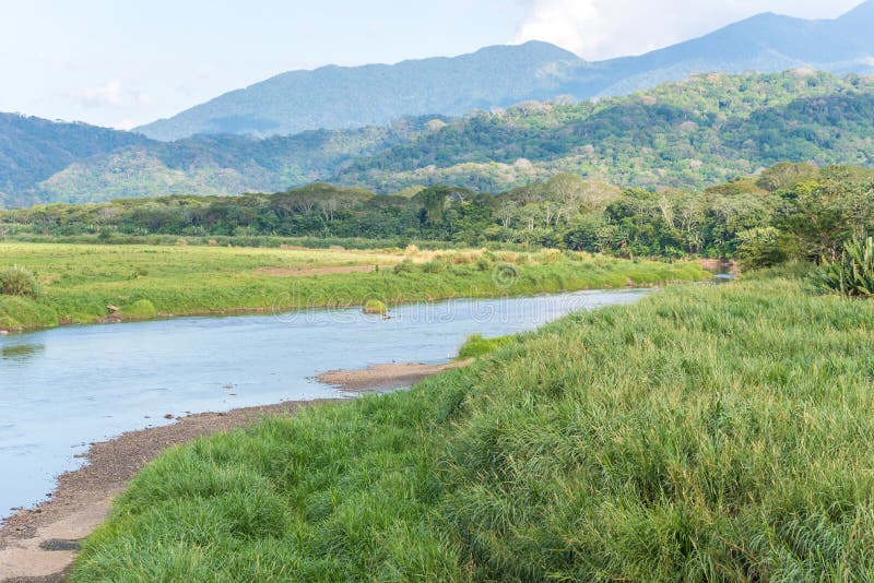 River in Costa Rica in Rainforest Stock Image - Image of boat, national ...