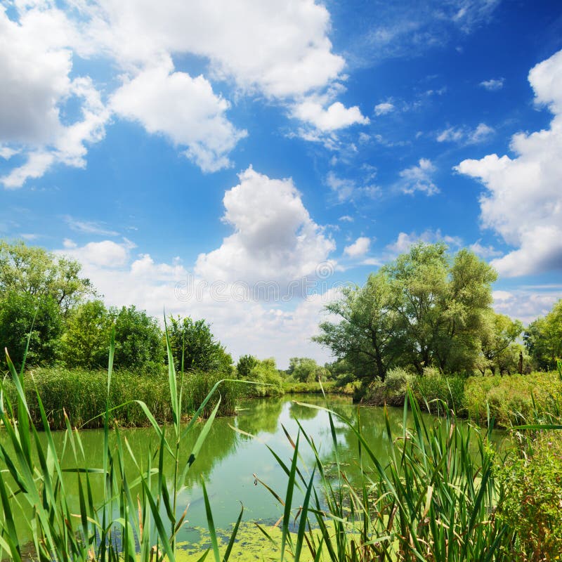 Beautiful Countryside Scene Stock Image - Image of greenery, green: 9946477