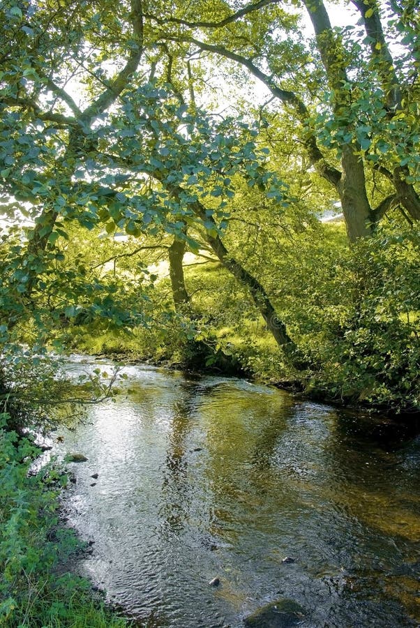 River in countryside stock image. Image of leaves, scenery - 3362313