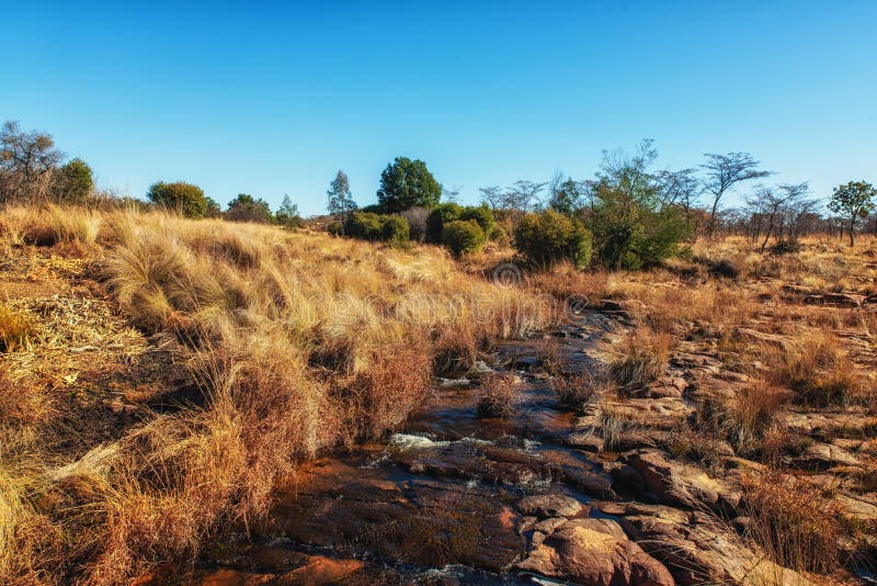 A River in the Countryside, South Africa Stock Photo - Image of ...