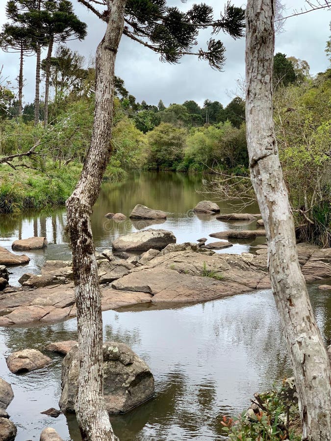 River Course with Rocks and Forest Stock Photo - Image of lake, forest ...