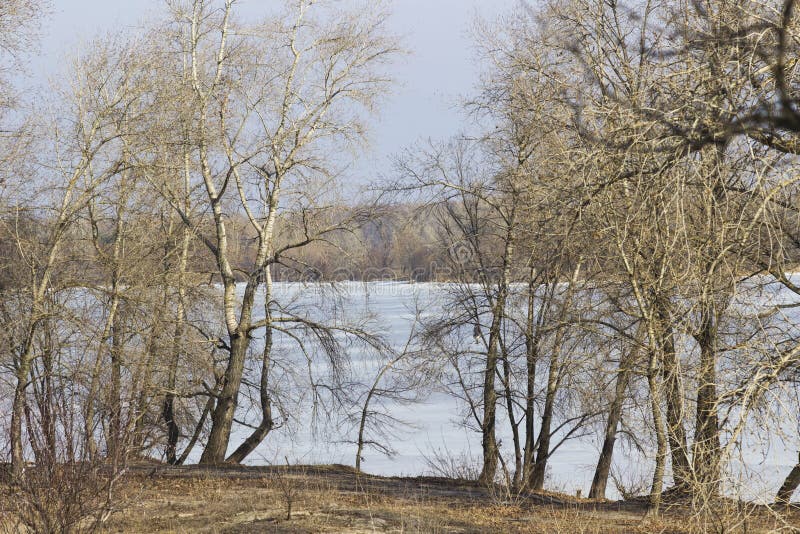 The River is Covered with Ice, on the Banks of the Trees, Sunny, Early ...