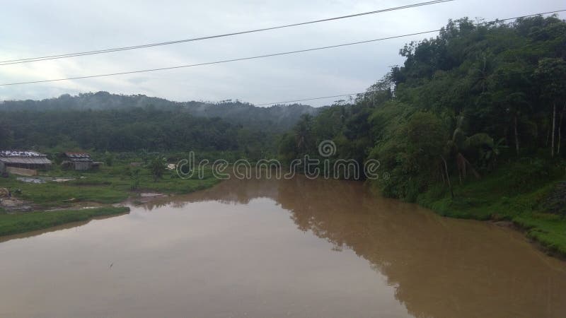 River Cow Gadjah Stock Photos - Free & Royalty-Free Stock Photos from ...