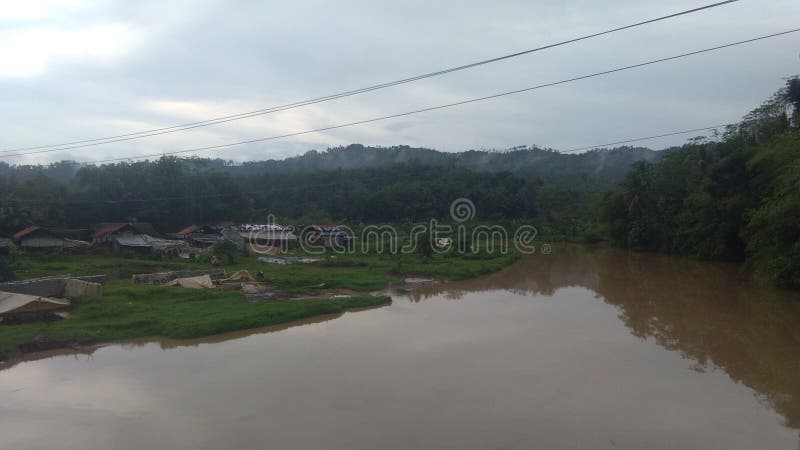 River Cow Gadjah Stock Photos - Free & Royalty-Free Stock Photos from ...