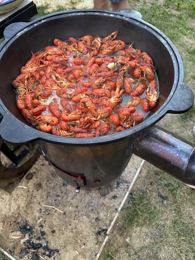 River Crayfish are Boiling in a Cauldron Over an Open Fire. the ...