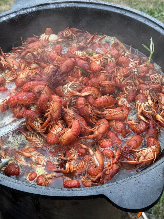 River Crayfish are Boiling in a Cauldron Over an Open Fire. the ...