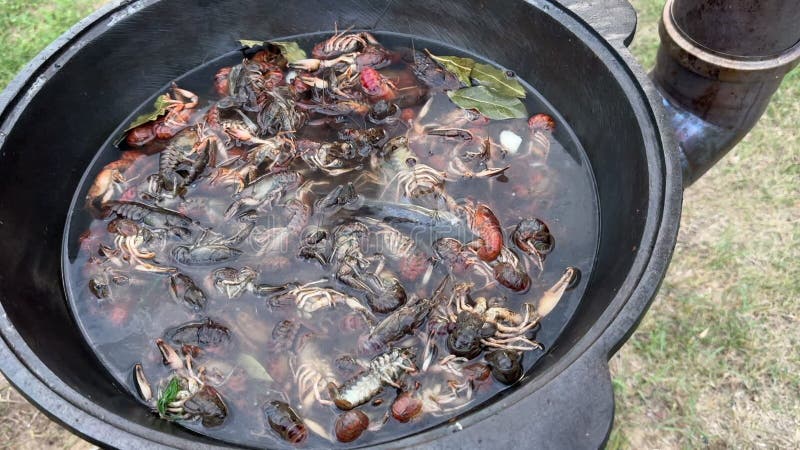 River Crayfish into Boiling Water. he is Cooking the Crayfish in a ...