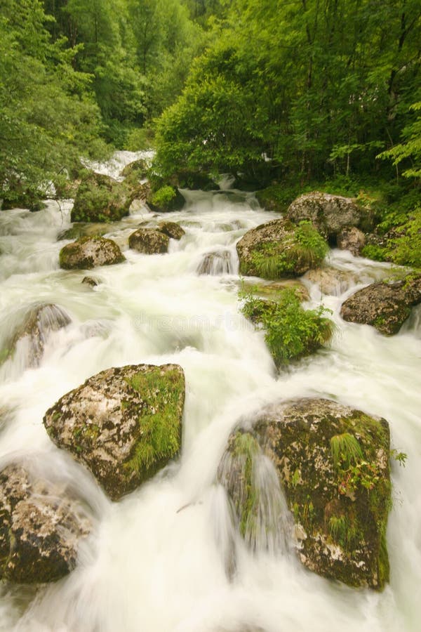River creek stock image. Image of flowing, rain, beautiful - 11340059