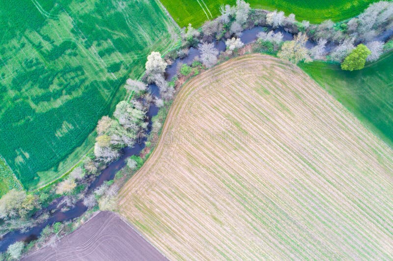 A River between Crop Fields in an Agricultural Area, Directly Above ...