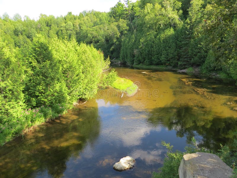 A River Running through the Forest Stock Image - Image of nature, time ...