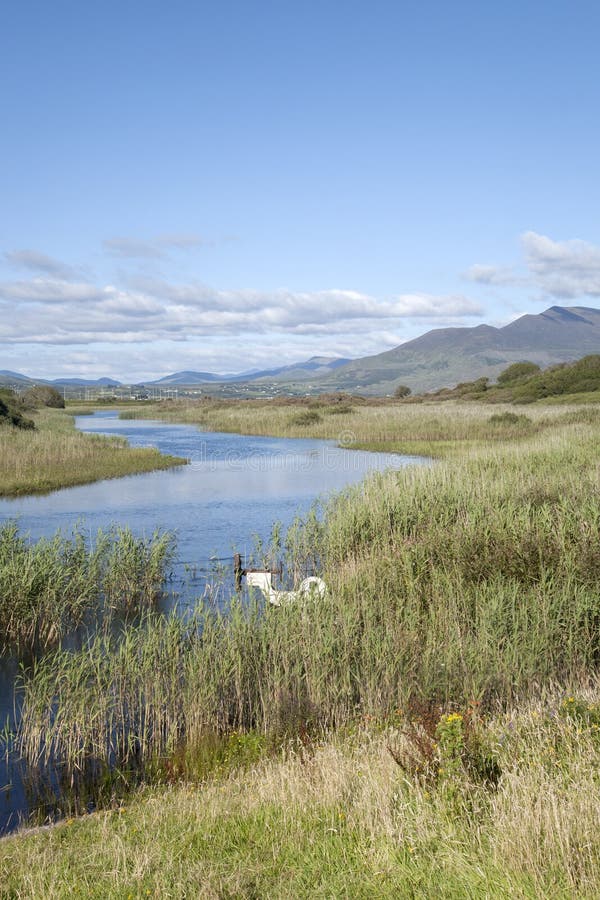 River Currane; Waterville stock image. Image of kerry - 64252071