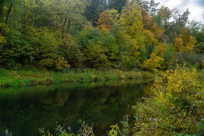 River Current on the Autumn Forest. Beautiful Nature Stock Photo ...