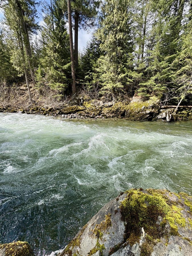 River Current Flowing Past Moss-Covered Rock Stock Photo - Image of ...