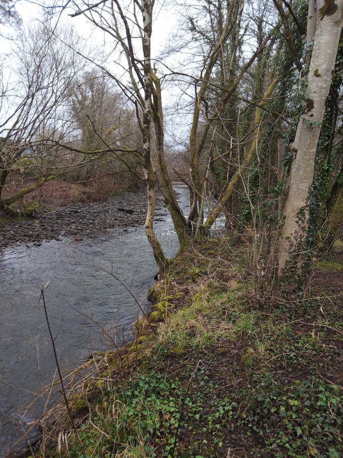 The River Cynon at Mountain Ash Stock Photo - Image of mountain, trees ...