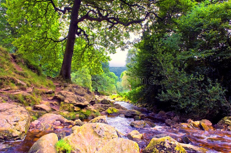River Dargle stock photo. Image of eire, falling, motion - 6367924