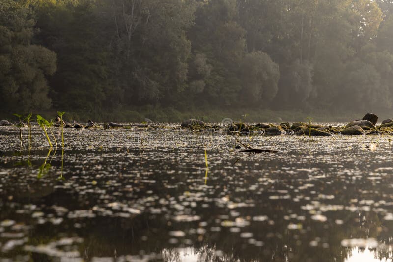 The River during the Dawn in Autumn , the Waves on the River Stock ...