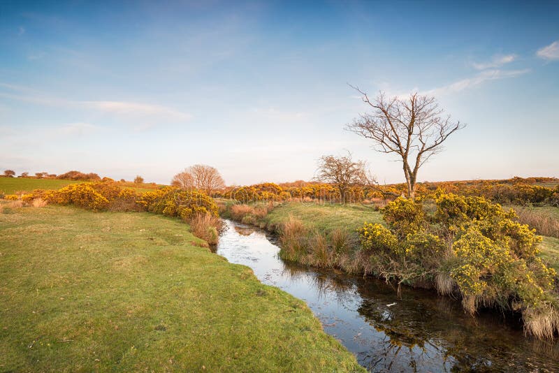 The River De Lank in Cornwall Stock Photo - Image of cornwall, river ...
