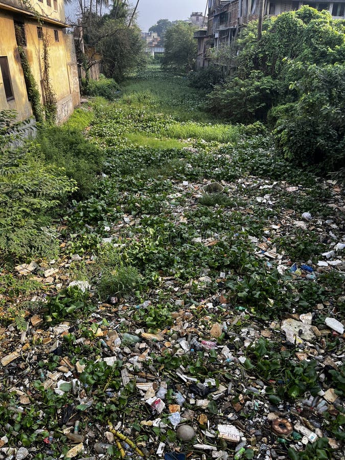 The River is almost Dead after Dumping Huge Amounts of Garbage into the ...