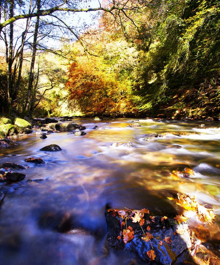 River Deep stock image. Image of outdoors, trees, river - 27412055