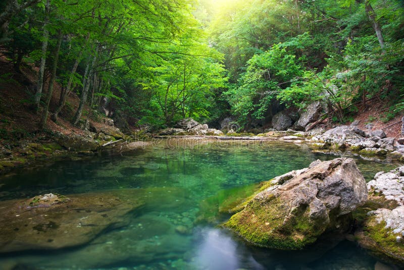 River Deep in Mountain Forest Stock Photo - Image of mountain ...