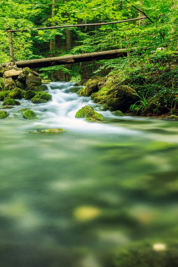 River Deep in Mountain Forest Stock Image - Image of cheile, motion ...