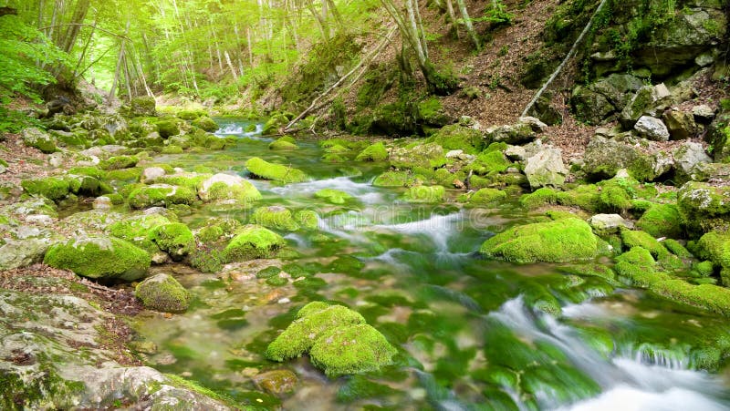 River Deep in Mountain Forest. Stock Photo - Image of clean, river ...
