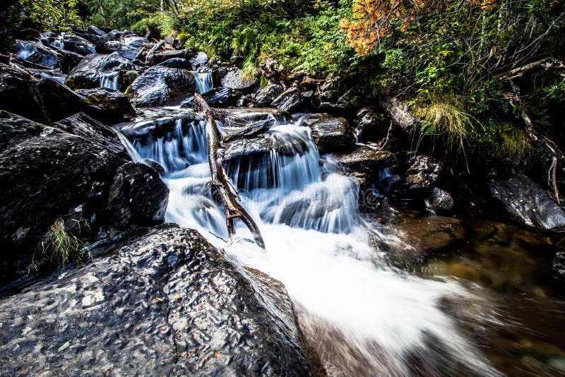 River Deep in Mountain Forest. Nature Composition Stock Image - Image ...