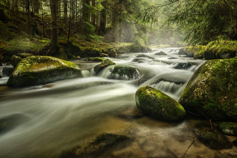 River Deep in Mountain Forest. Nature Composition Stock Image - Image ...