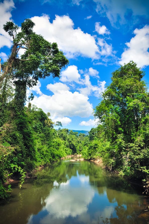 River Deep in Mountain Forest. Nature Composition. Stock Photo - Image ...