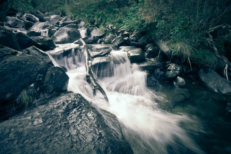 River Deep in Mountain Forest. Nature Composition Stock Photo - Image ...
