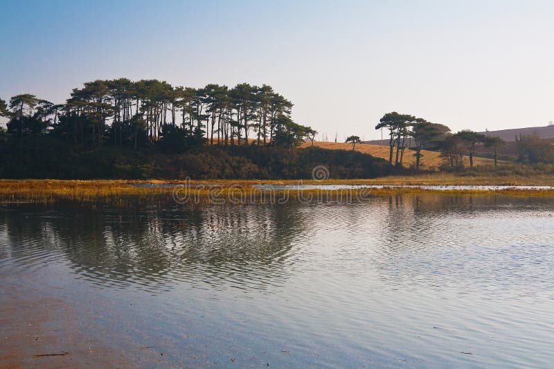 River Delta in Southern Devon, UK. Stock Photo - Image of great, delta ...