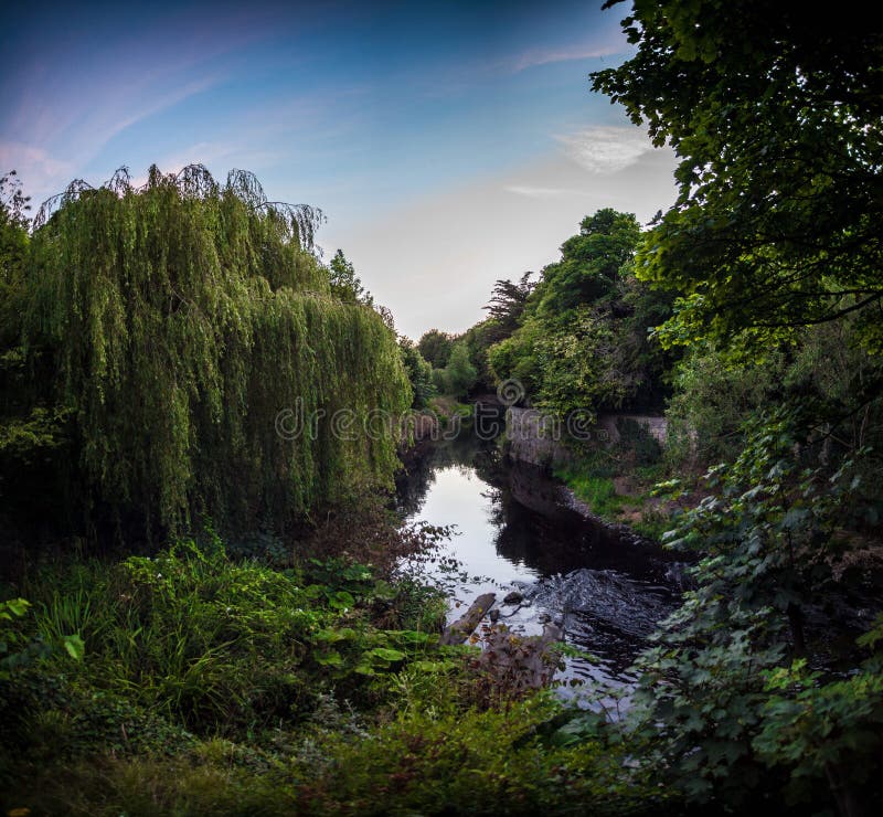 River Dodder in Dublin stock photo. Image of water, scenic - 96398832