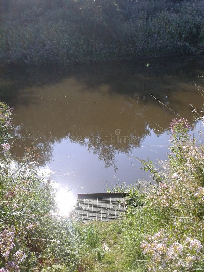 River Don with vegitation stock image. Image of hooton - 96537853