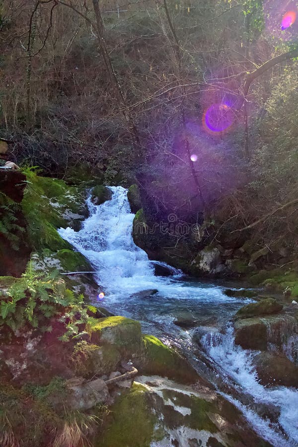 The river downstream stock photo. Image of flower, middle - 259158120