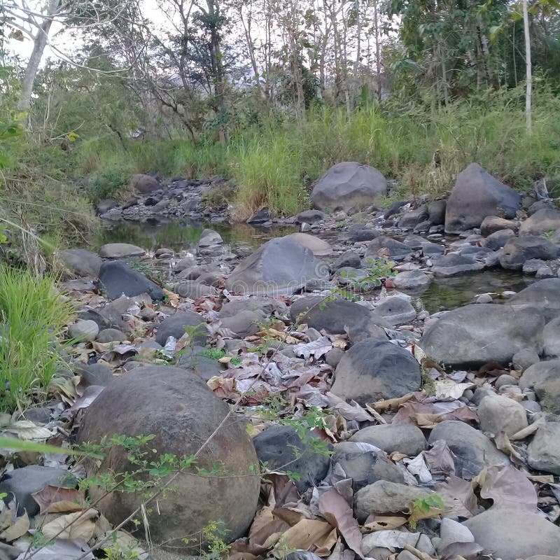 When the River is Dry, There is No Running Water Stock Image - Image of ...