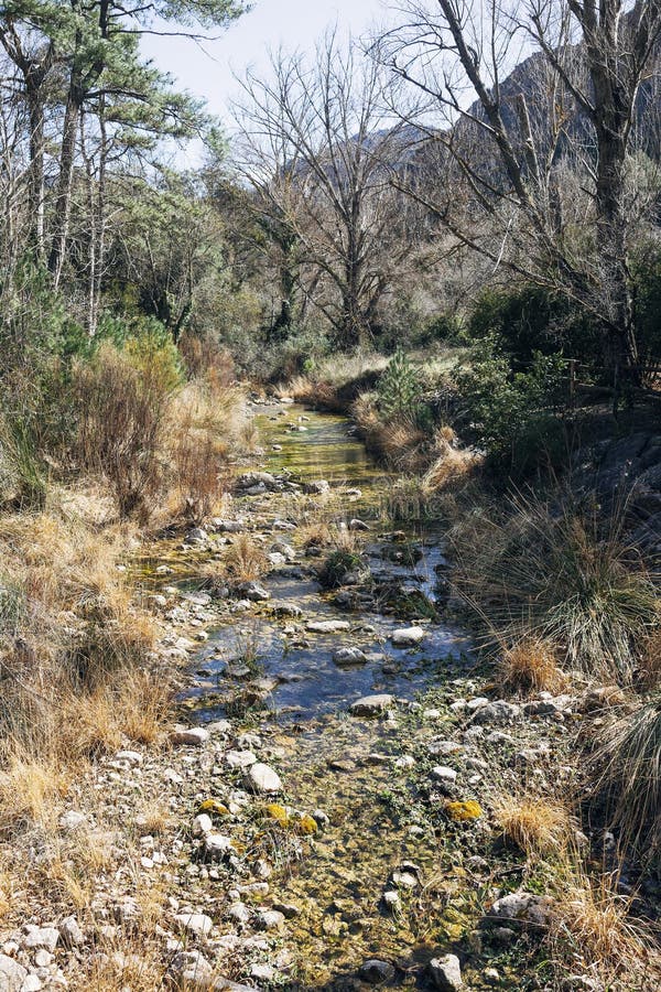 The River Drying Up Due To Climate Change. Climate Crisis Stock Photo ...
