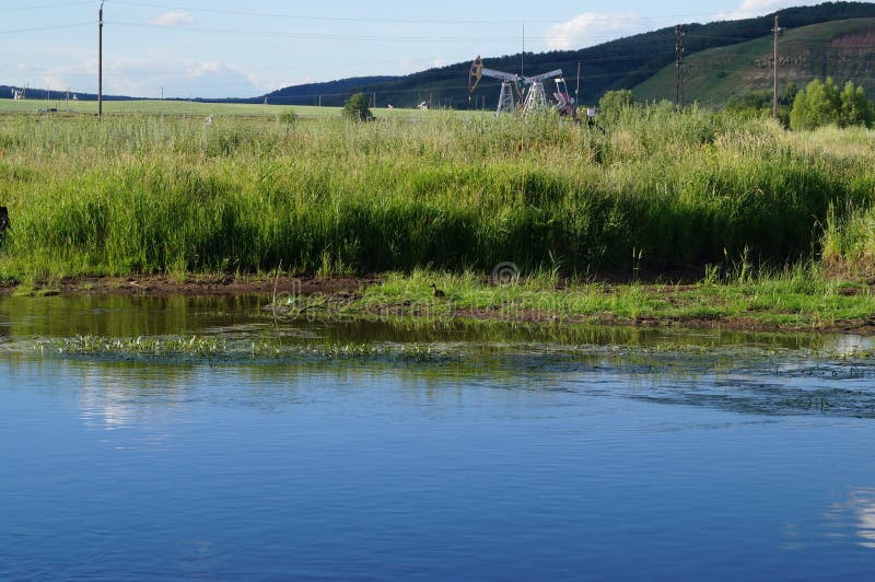 River stock photo. Image of blue, animal, sunny, grass - 80200578