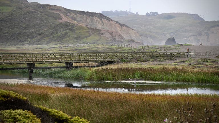 River with Ducks Passing Beneath a Bridge in a Scenic Valley Stock ...