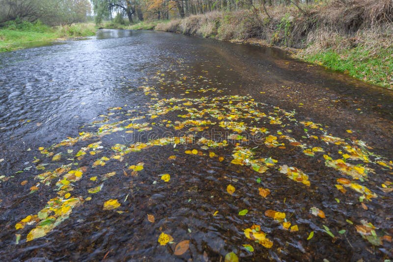 River Dyje South Moravia Czech Republic Stock Image - Image of czech ...