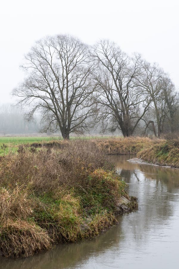The River Dyle Nature Reserve with Bare Winter Trees Stock Image ...