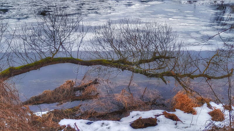 By the River Early in the Spring. Stock Photo - Image of winter, water ...