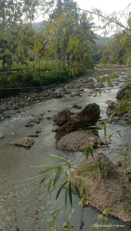 River on the Edge of the Forest Stock Image - Image of edge, stone ...
