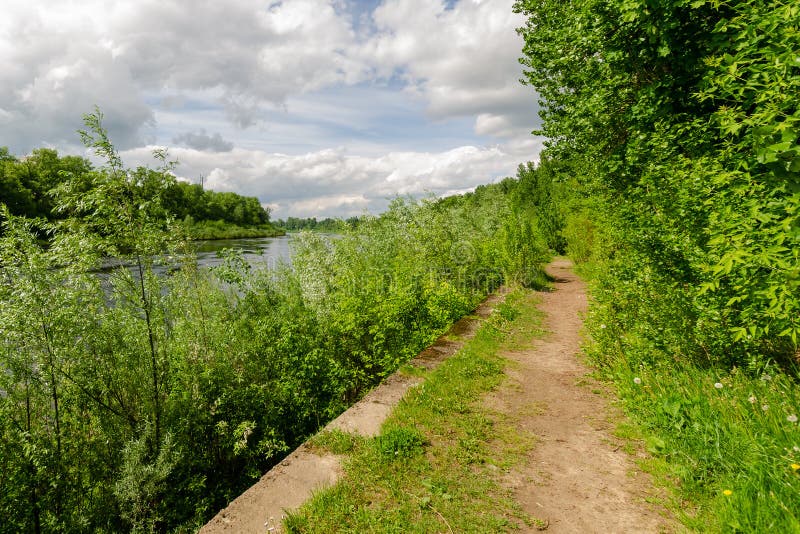 River and Embankment in Summer in the Environment of Green Trees Stock ...